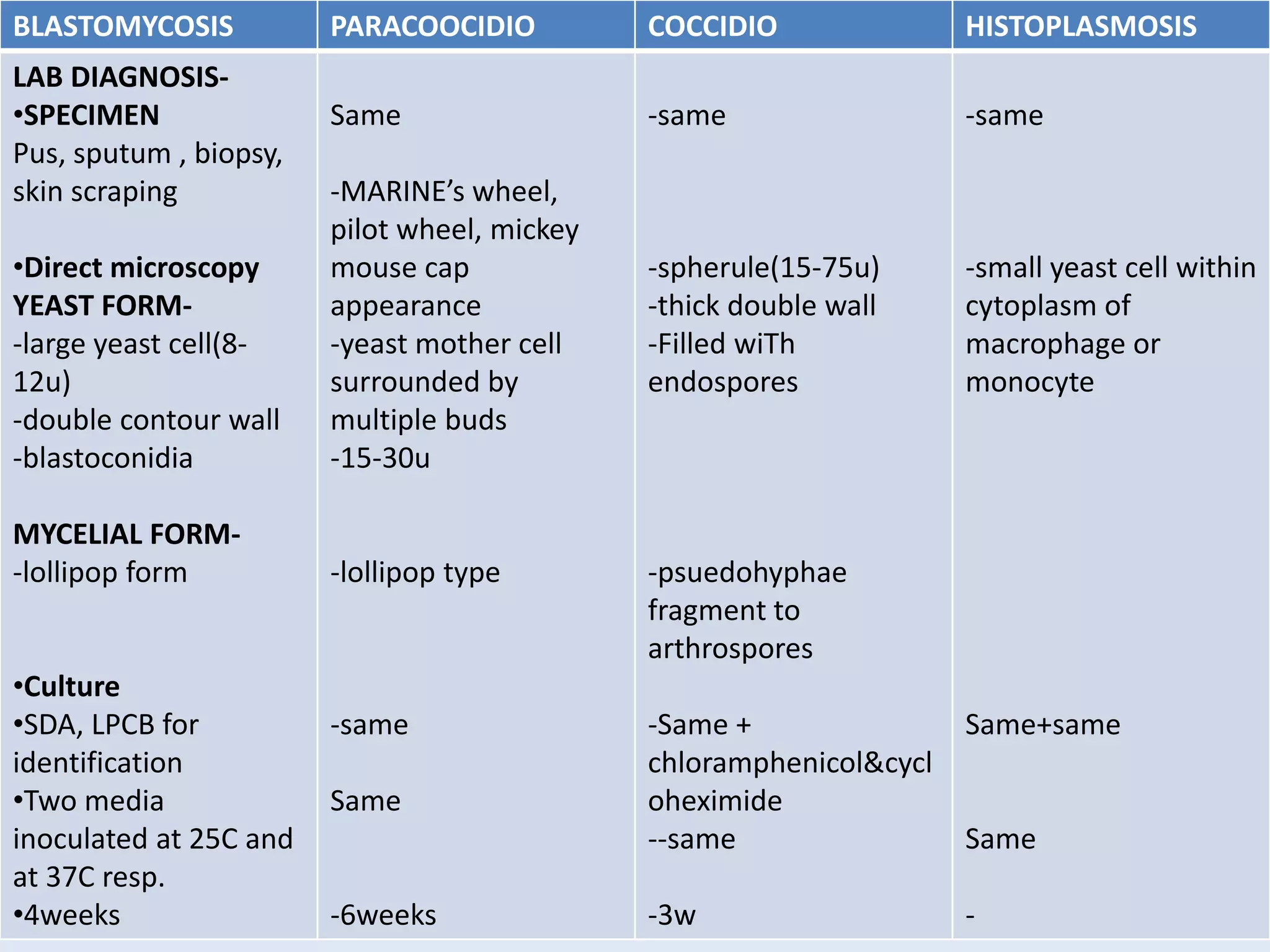 Mycotic(fungal) Infections | PPTX