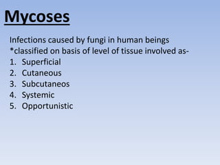 Mycotic(fungal) Infections | PPTX