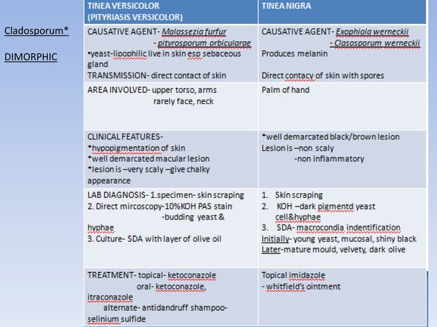 Mycotic(fungal) Infections | PPTX