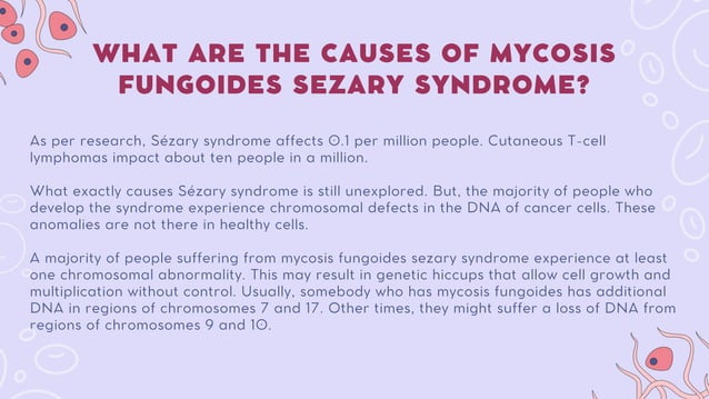 What Is Mycosis Fungoides Sezary Syndrome? | PPTX | Skin and ...