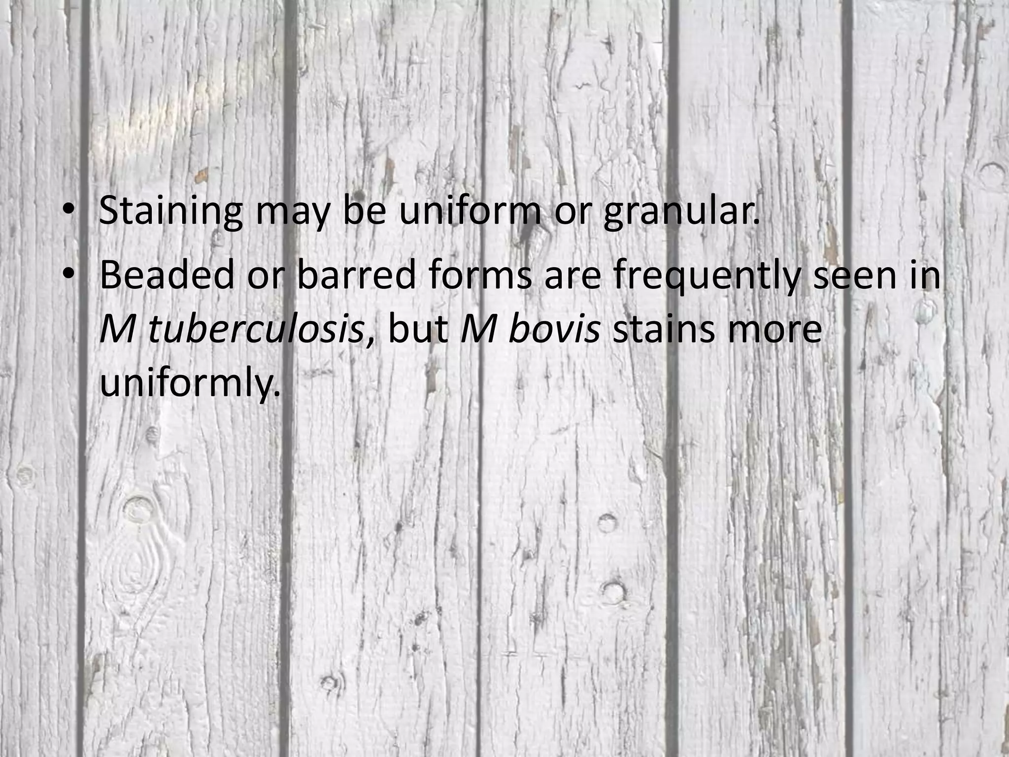 Mycobacterium tuberculosis | PPTX