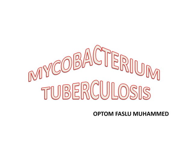 Mycobacterium tuberculosis | PPT