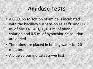 Mycobacterium tuberculosis | PPT