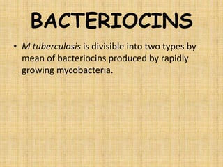Mycobacterium tuberculosis | PPT