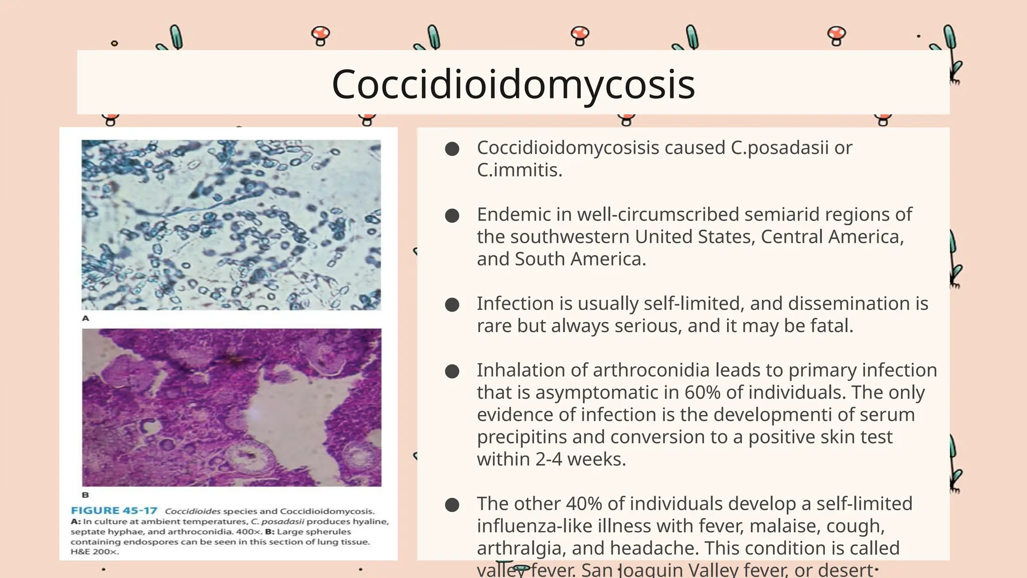 Mycotic Diseases Microbiology Powerpoint | PPTX
