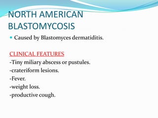 Mycotic infections | PPTX