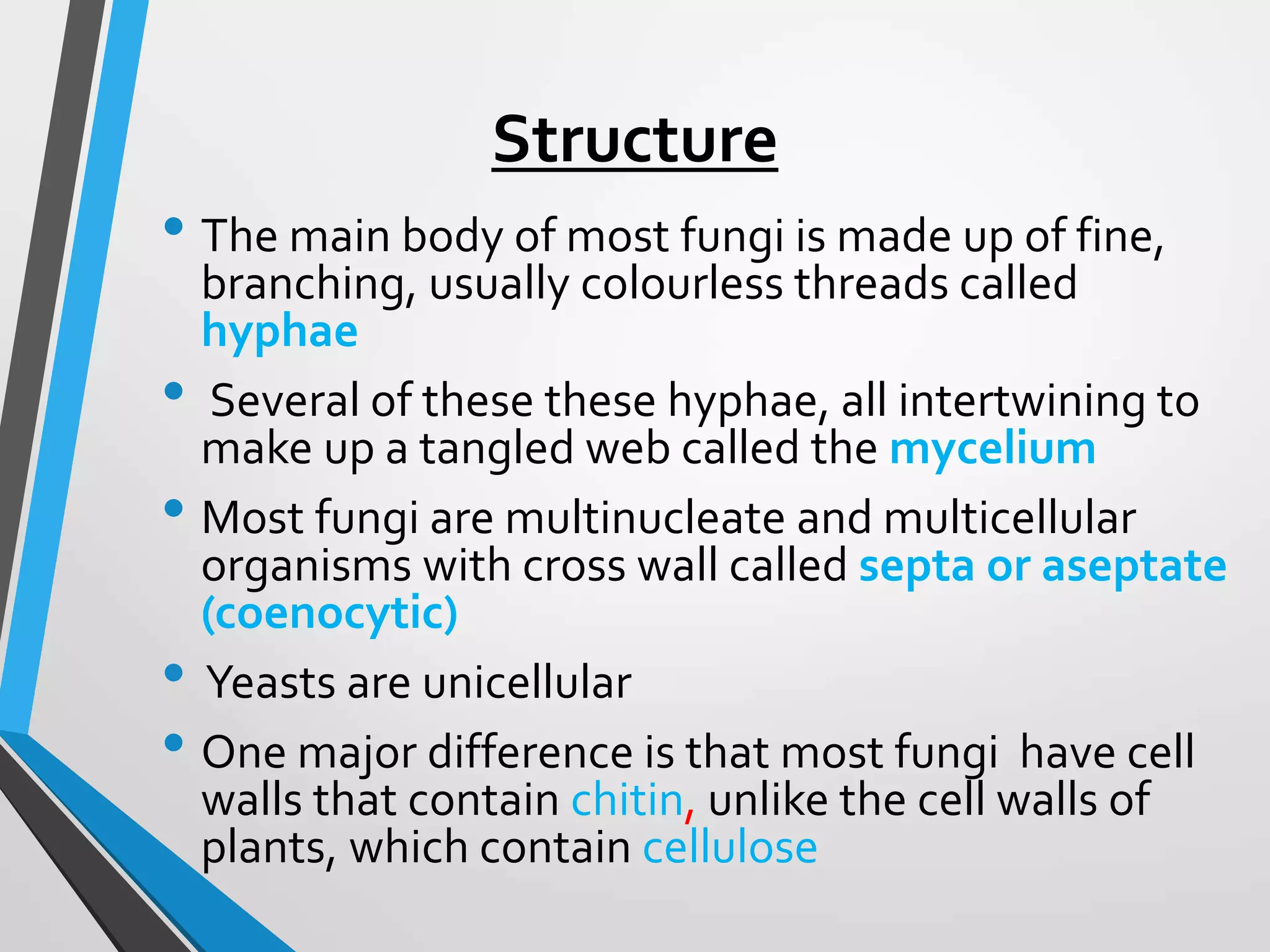 Mycotic Infections.ppt