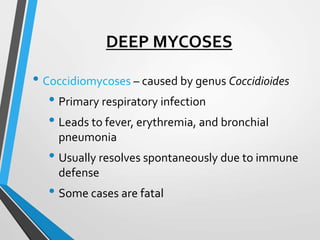 Mycotic Infections.ppt
