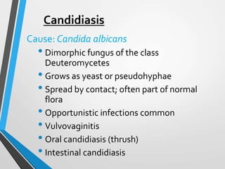 Mycotic Infections.ppt