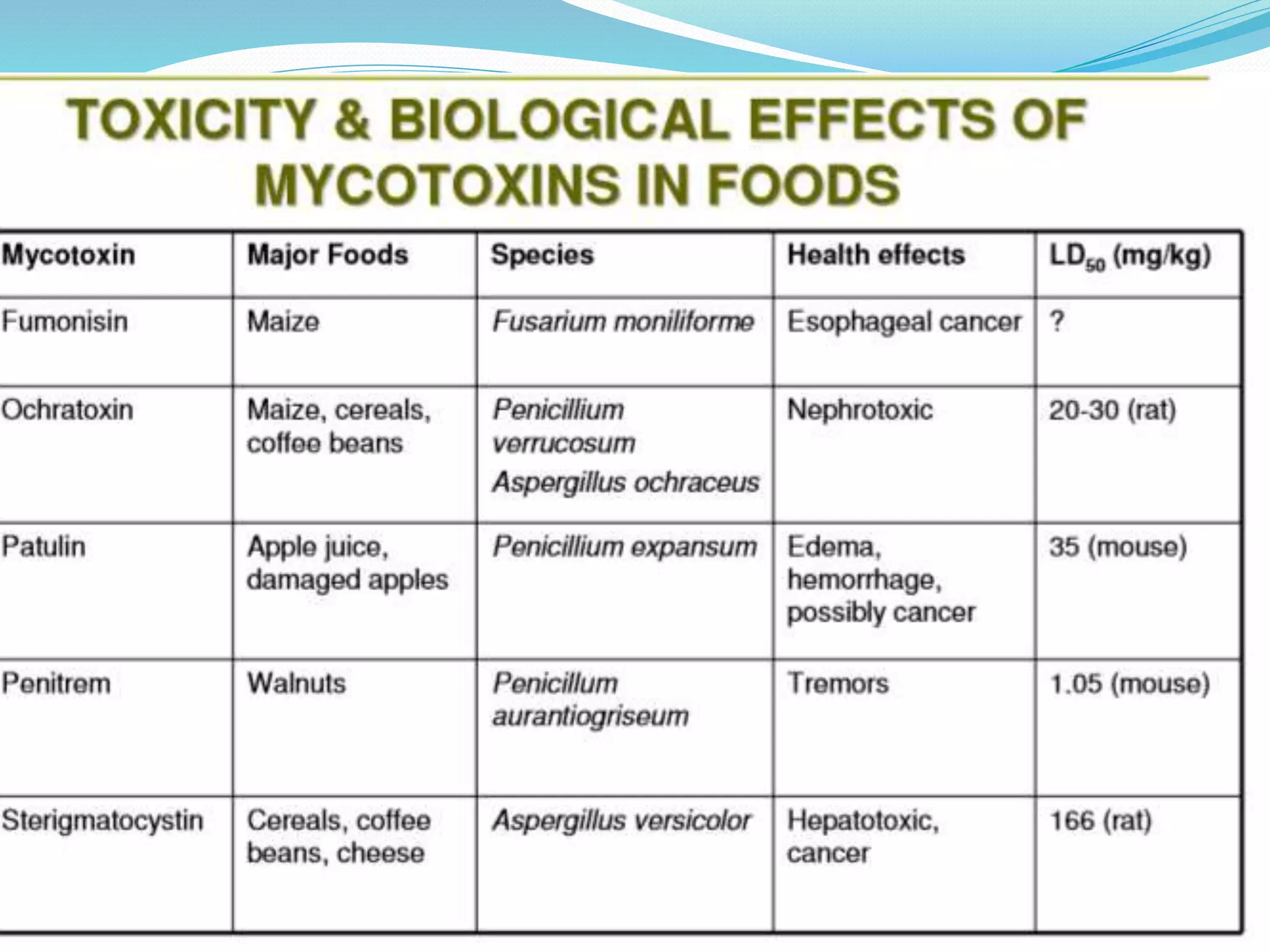 Mycotoxin | PPTX
