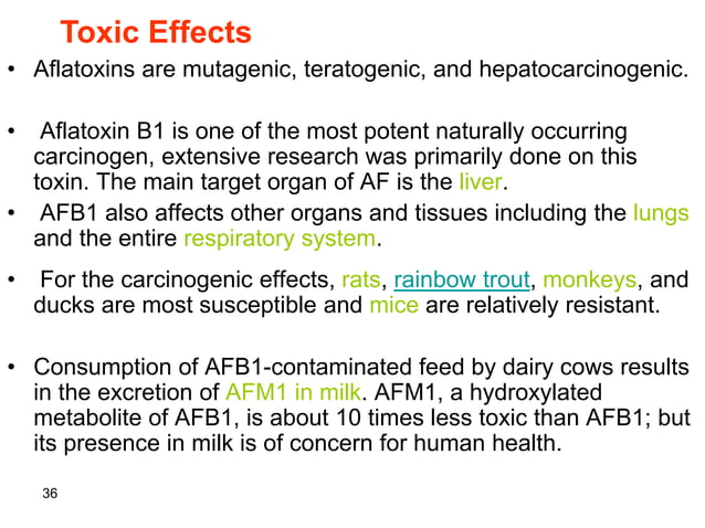 Mycotoxin, aflatoxin, | PPT | Medical Health