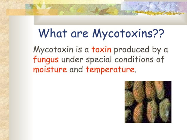 Effect of mycotoxin on human health .ppt