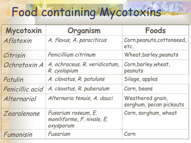 Effect of mycotoxin on human health .ppt