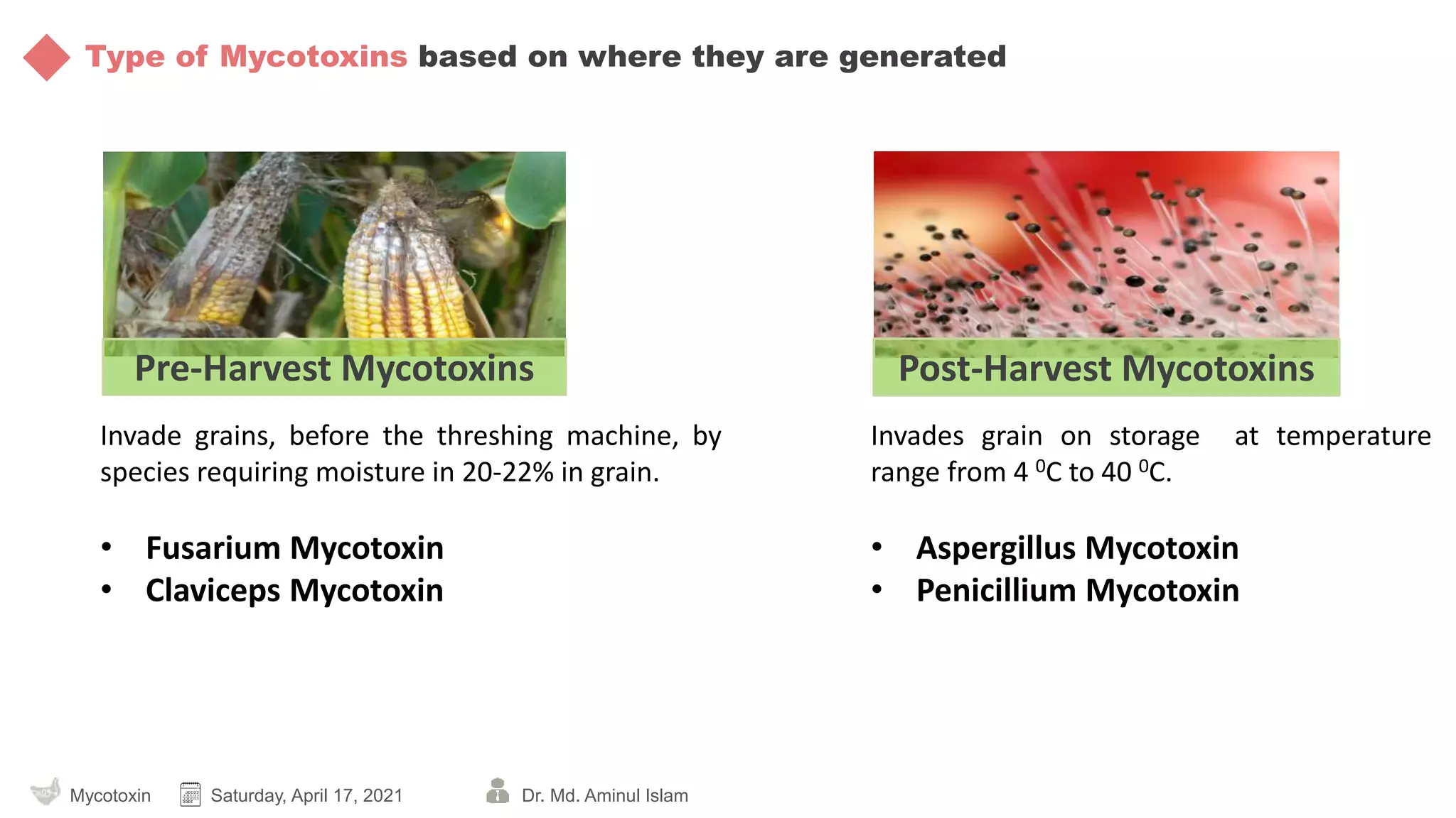 Mycotoxin, a hidden threat for poultry, need to be tactful in ...