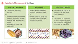Mycotoxin, a hidden threat for poultry, need to be tactful in ...