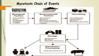 Mycotoxin in poultry feeds ppt | PPTX