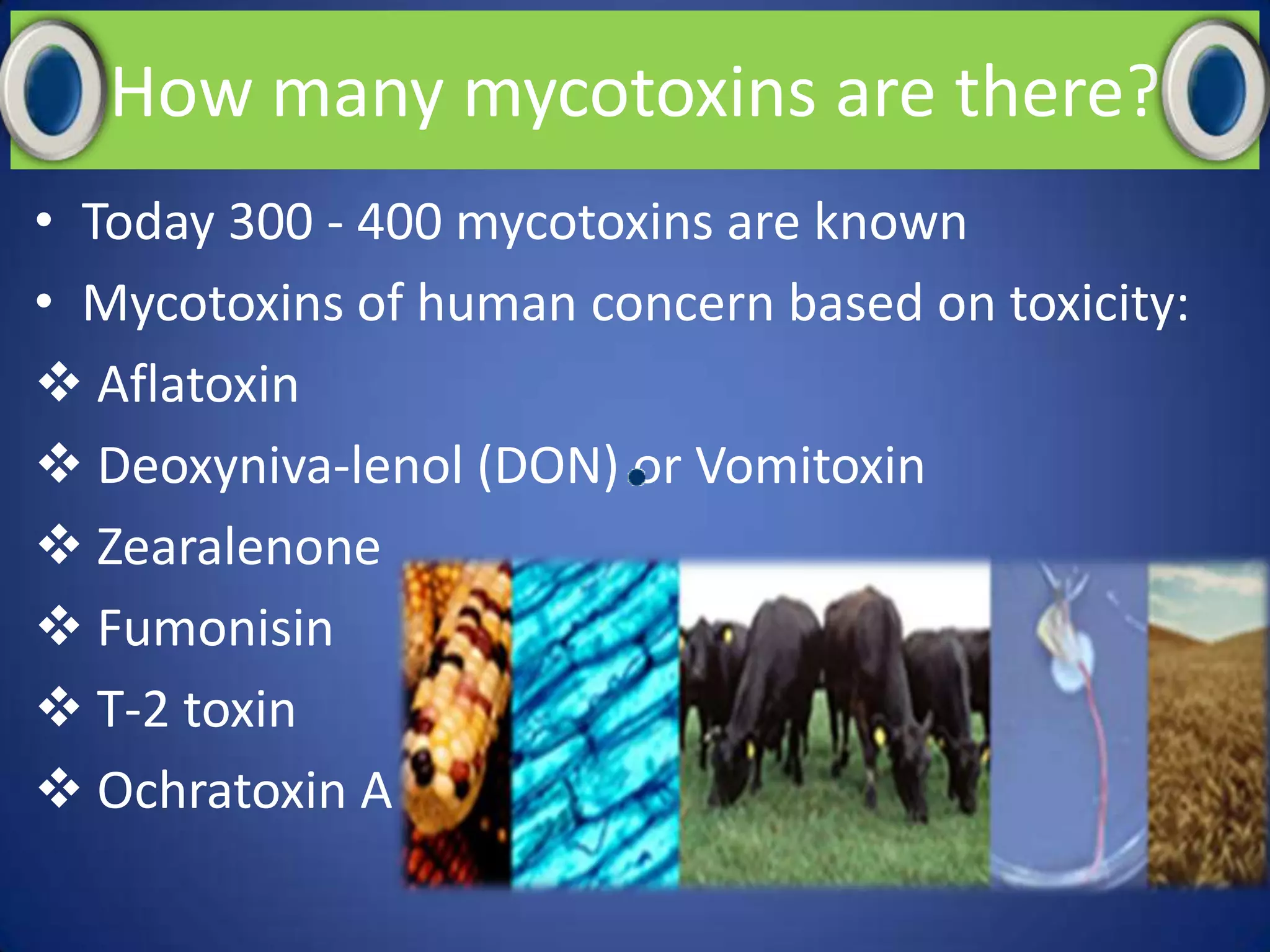 Mycotoxins | PPTX