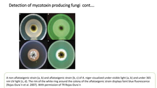 Mycotoxins | PPTX