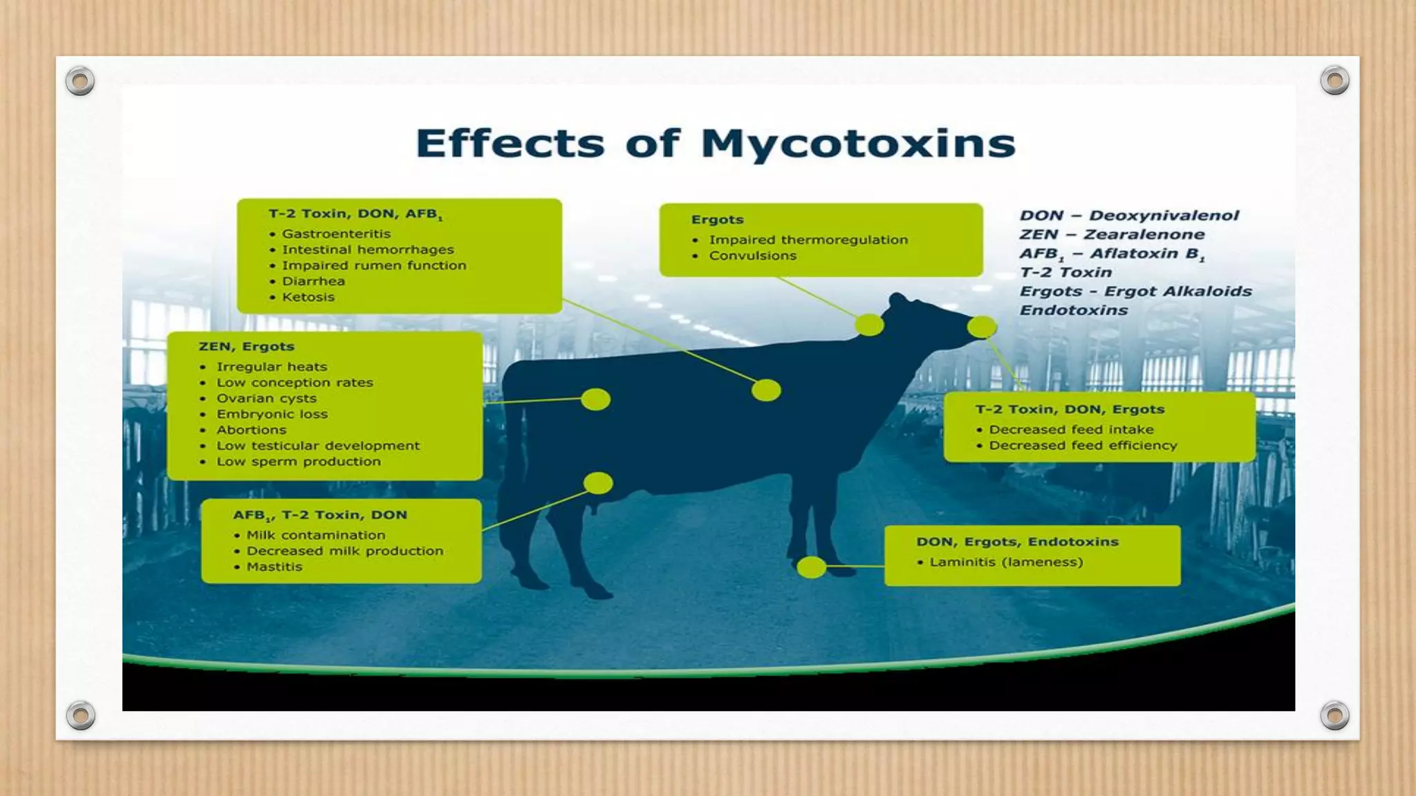 Mycotoxins | PPT