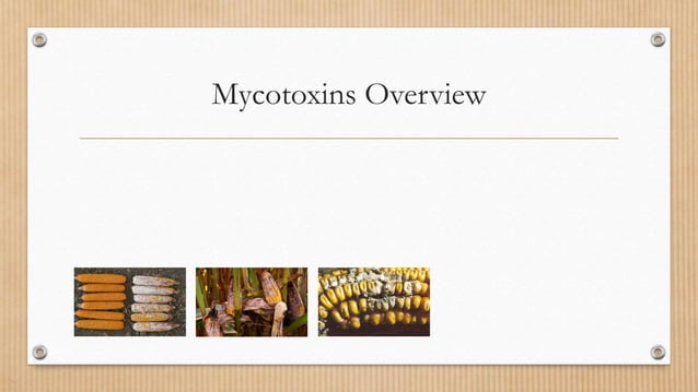 Mycotoxins | PPT