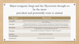 Mycotoxins | PDF