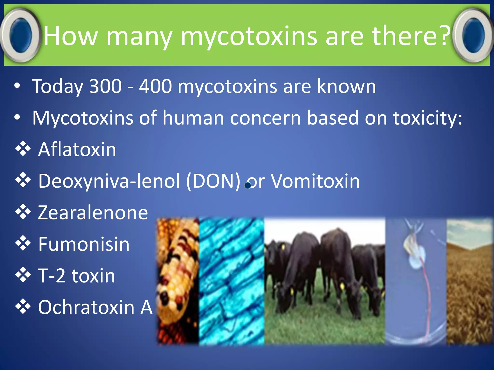 Mycotoxins | PPTX