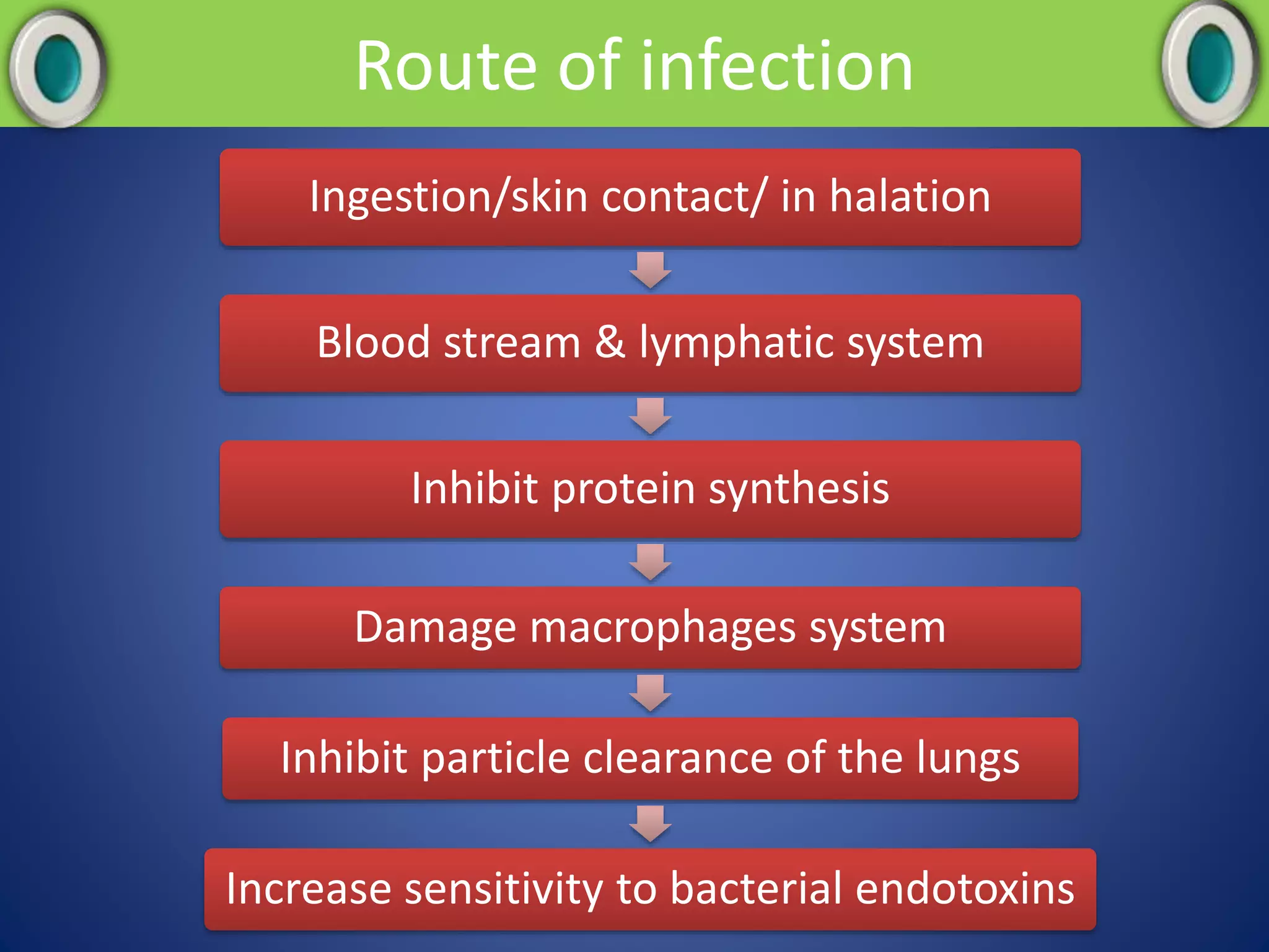 Mycotoxins | PPTX