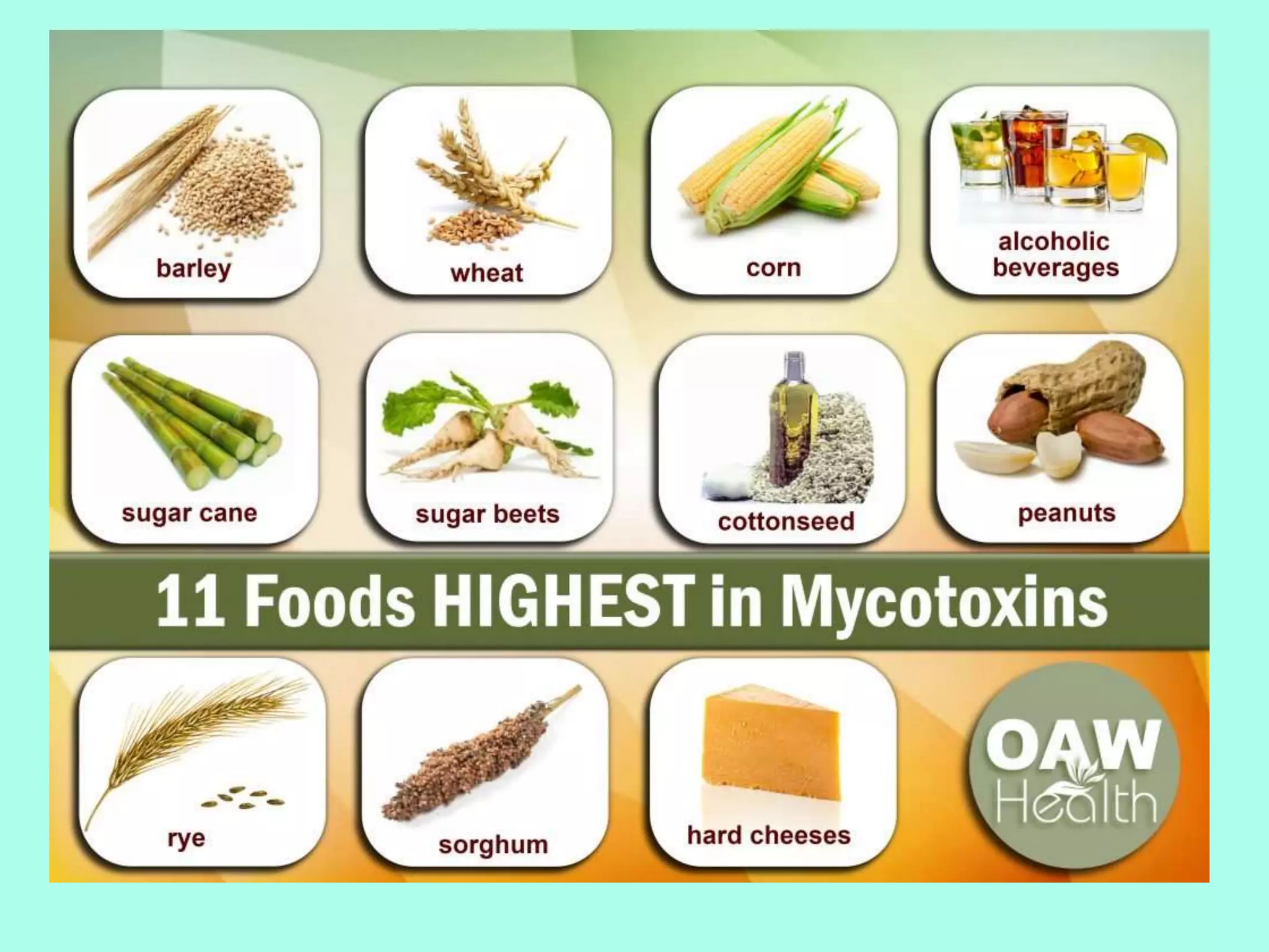 Mycotoxins Presentation | PPTX