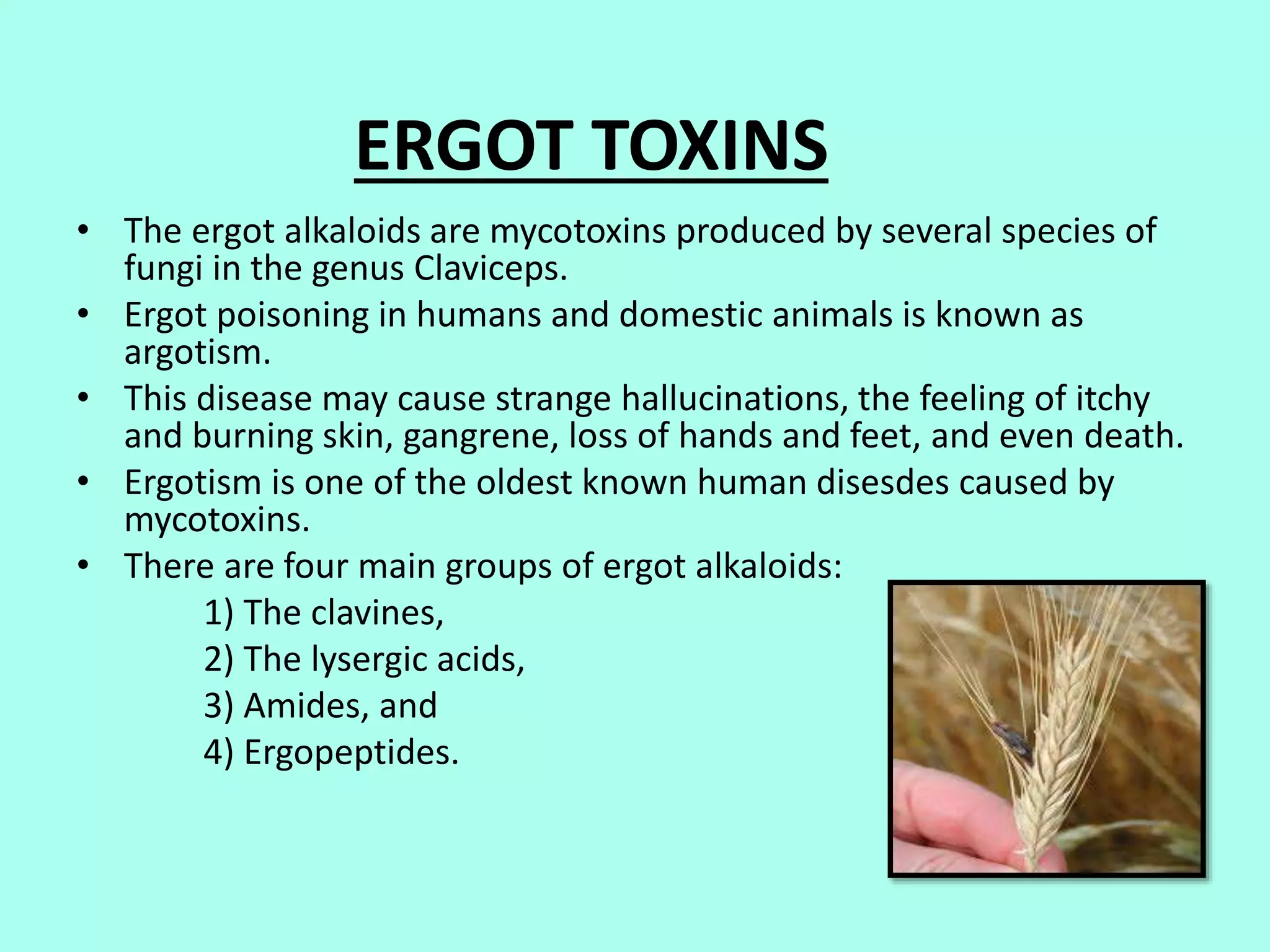 Mycotoxins Presentation | PPTX