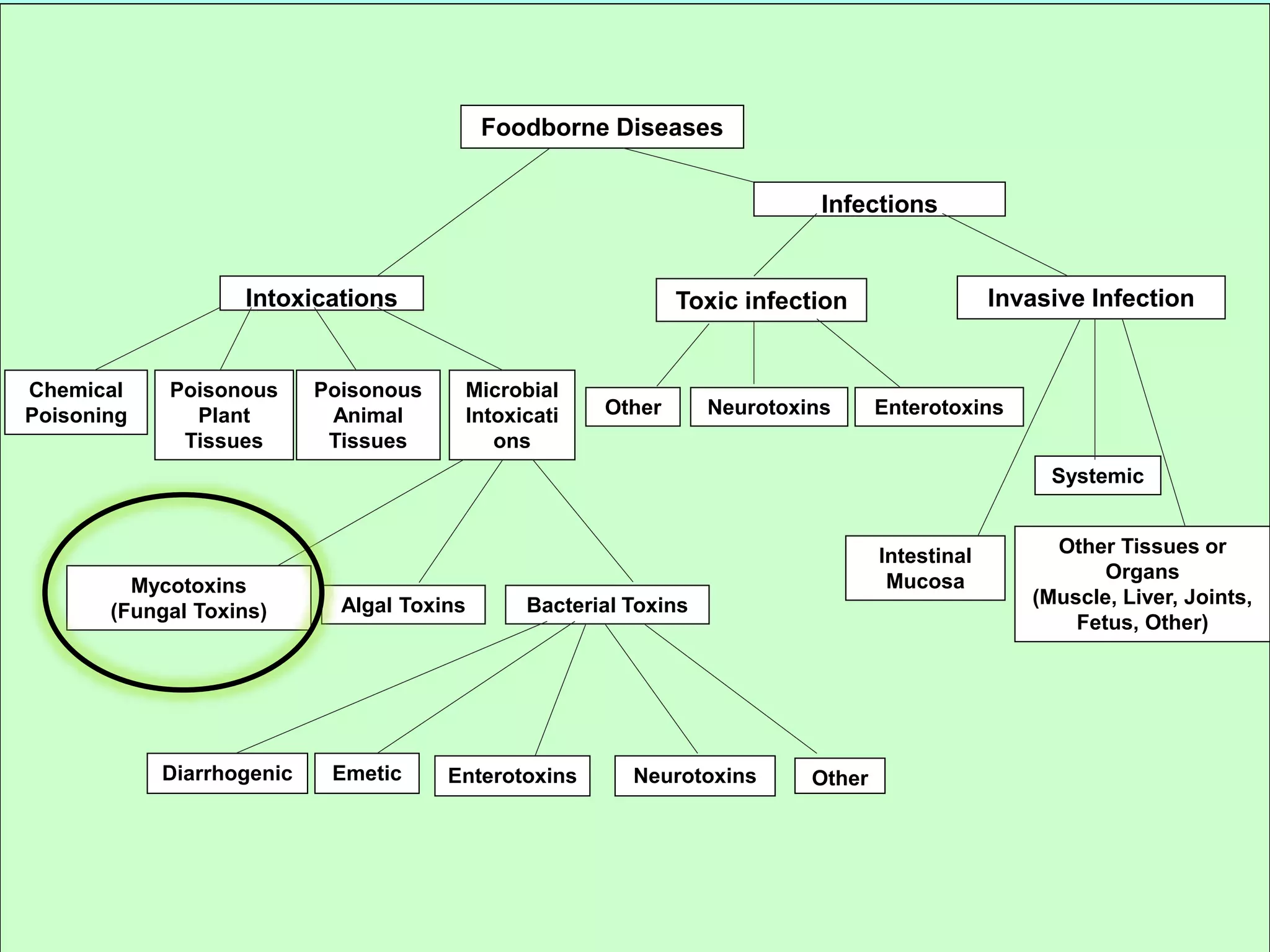 Mycotoxins Presentation | PPTX