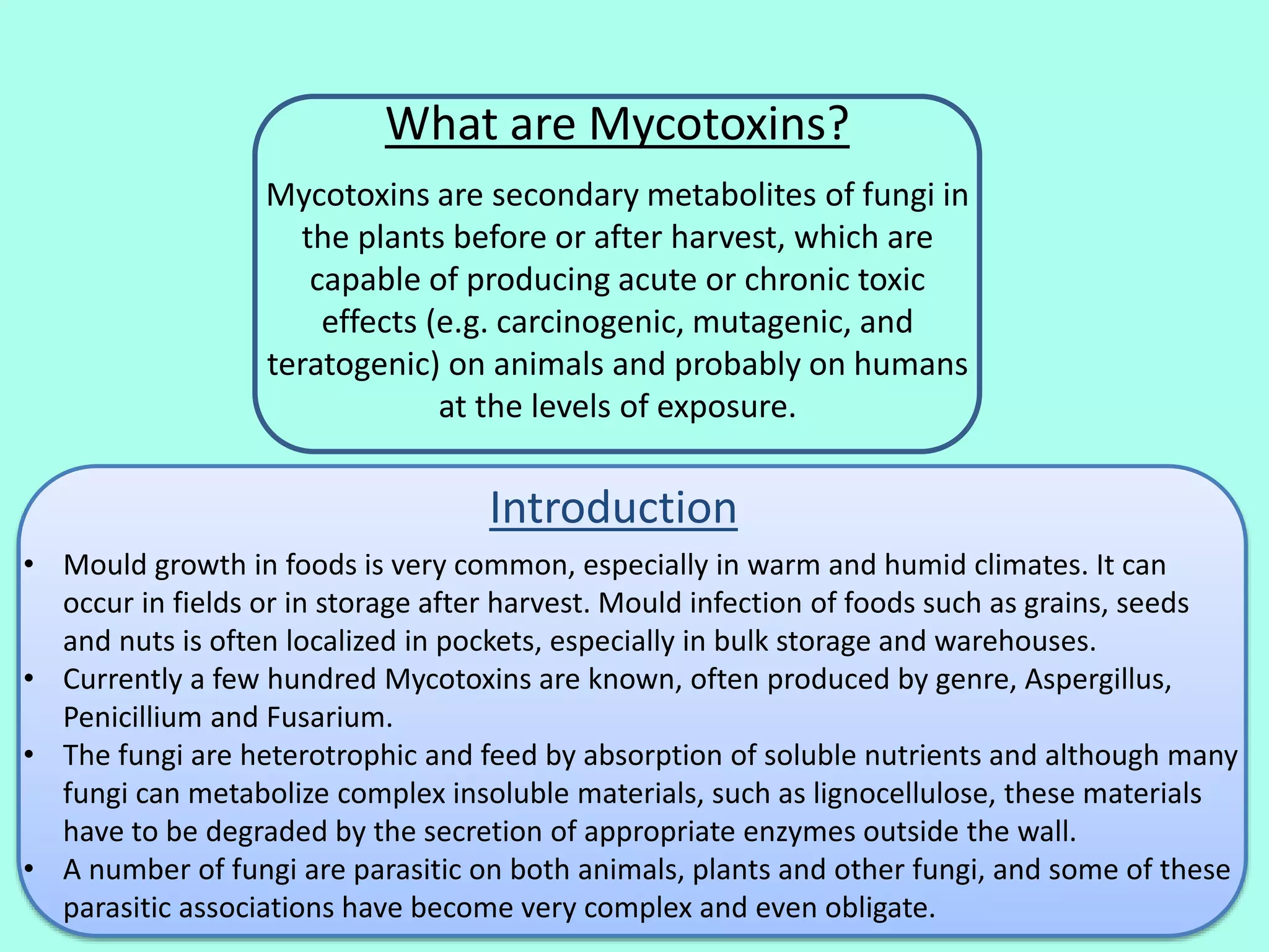 Mycotoxins Presentation | PPTX