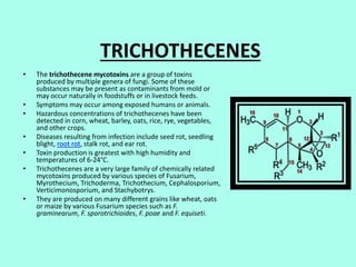 Mycotoxins Presentation | PPTX