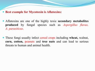 Mycotoxins | PPTX