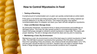 Mycotoxins.pdf