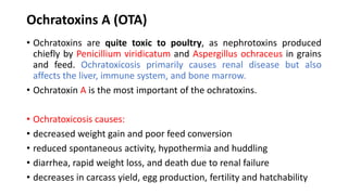 Mycotoxins.pptx