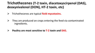 Mycotoxins.pptx