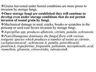 Mycotoxins from seed pathology perspective.pptx