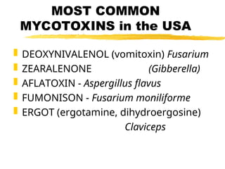 Mycotoxins in Food Chain, Animal Health and Contamination Control.ppt