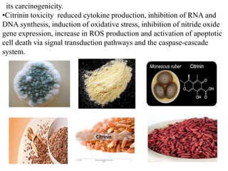 Mycotoxins general account, types & importance | PPTX