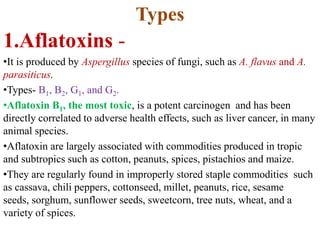 Mycotoxins general account, types & importance | PPTX
