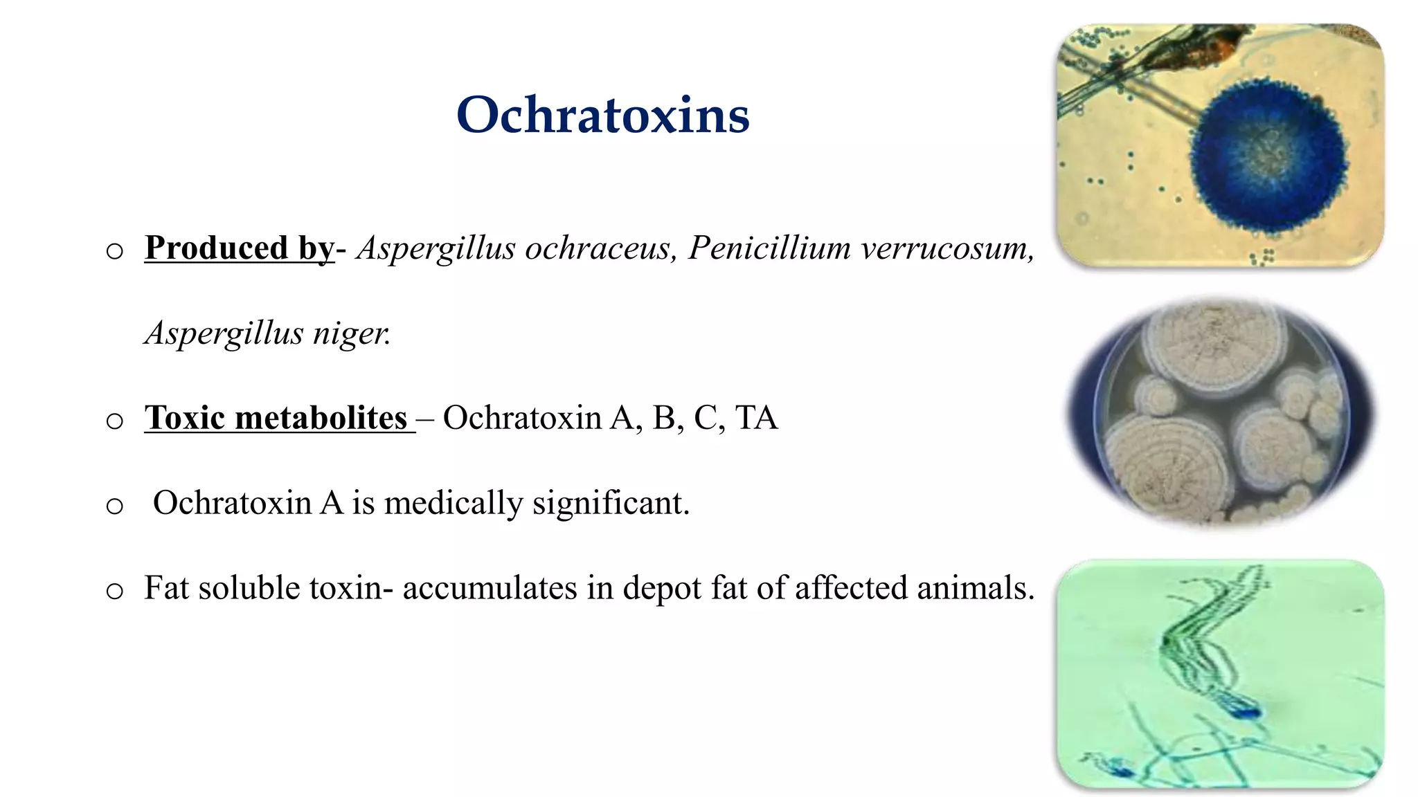 Mycotoxins and mycetism | PPTX