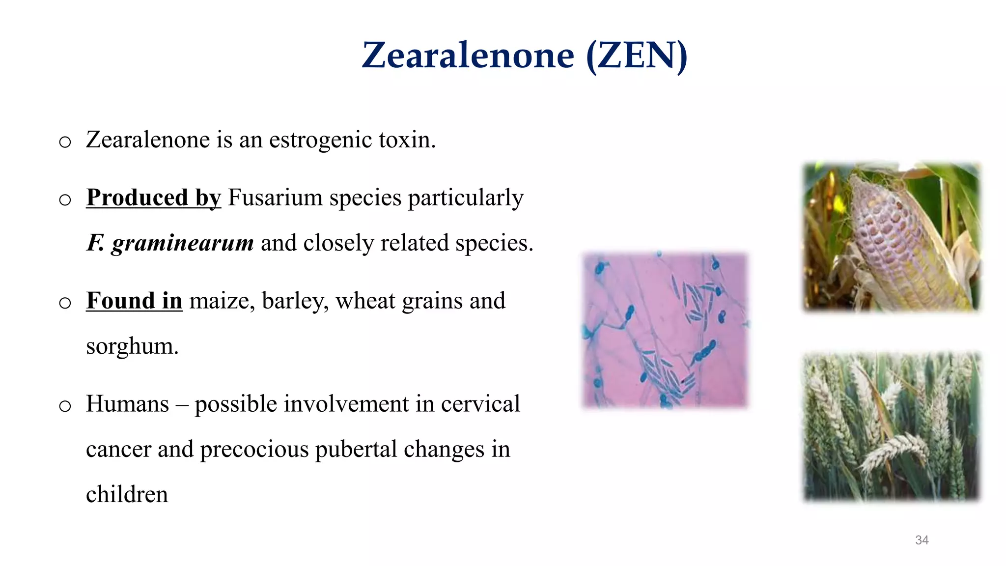 Mycotoxins and mycetism | PPTX