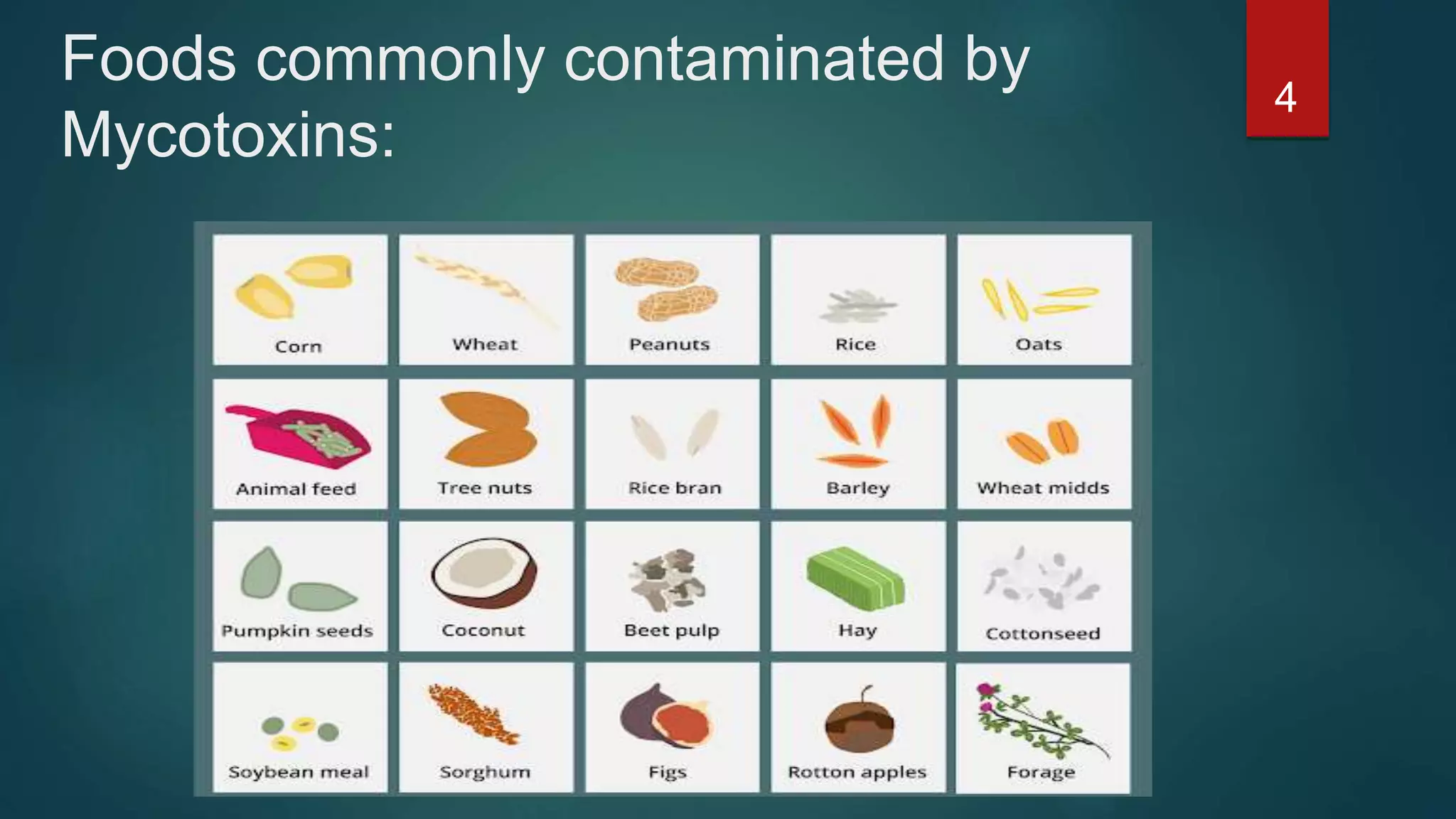 Mycotoxins types and characterization | PPTX