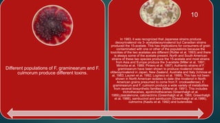 Mycotoxins types and characterization | PPTX