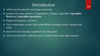 Mycotoxins types and characterization | PPTX