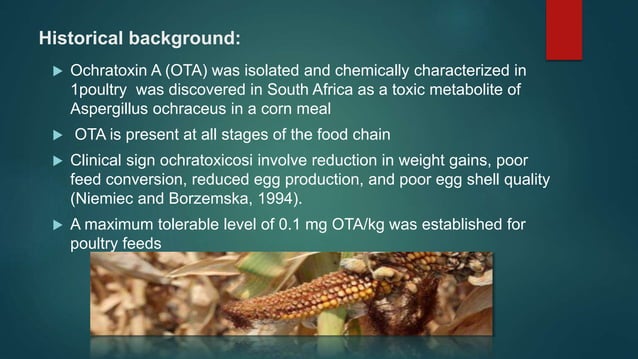 Mycotoxins types and characterization | PPTX
