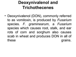 Mycotoxins in feed grains and ingredients | PPT