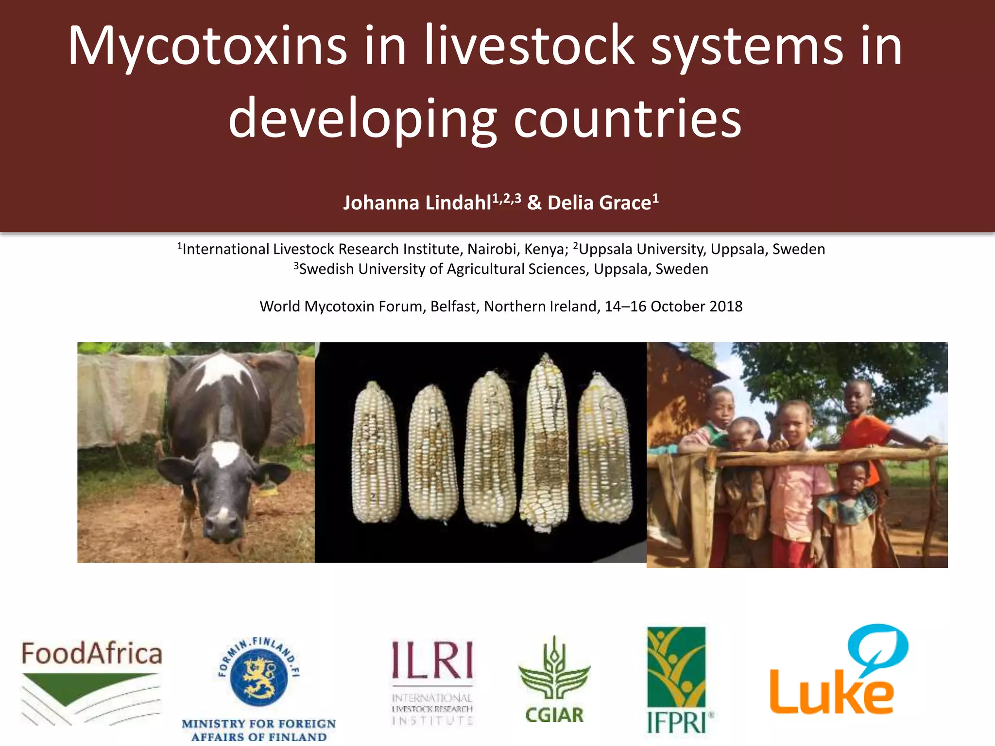 Mycotoxins in livestock systems in developing countries | PPT