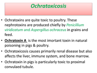 Toxins of fungal origin( Mycotoxins) effecting livestock and poultry ...