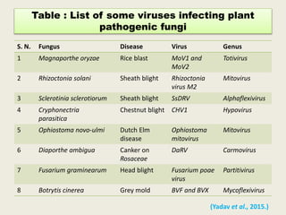 Mycoviruses in plant disease management final | PPTX